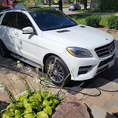 Panda Hub - The Mobile Car Detailing Marketplace