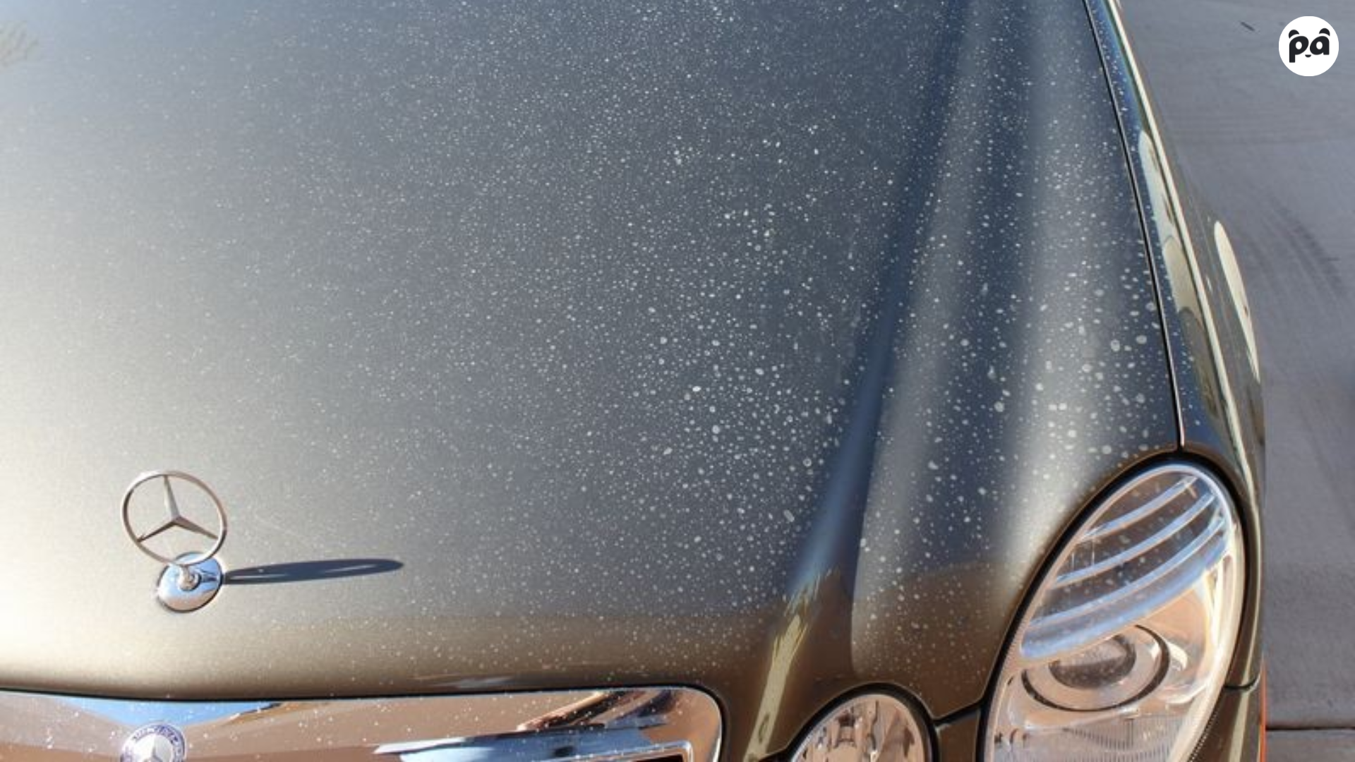 5 best ways to remove Water Spots from Cars in 2024 | Panda Hub Car Care