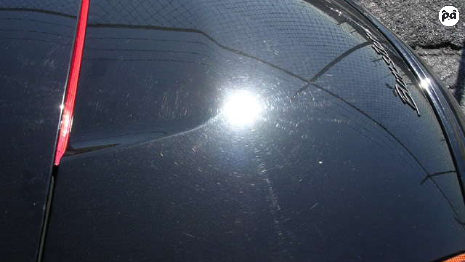 How To Remove Swirl Marks From Car Paint? | Panda Hub Car Care