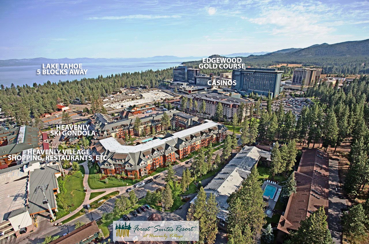 Location & Directions | Forest Suites Resort