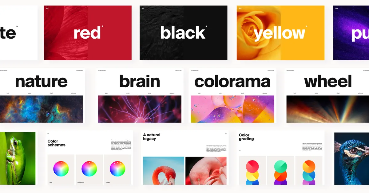 The Color Psychology - Brain