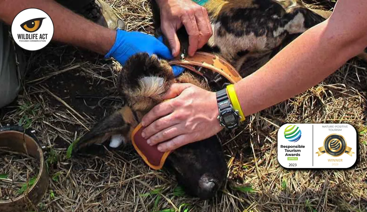 Saving Endangered Species - Wildlife ACT