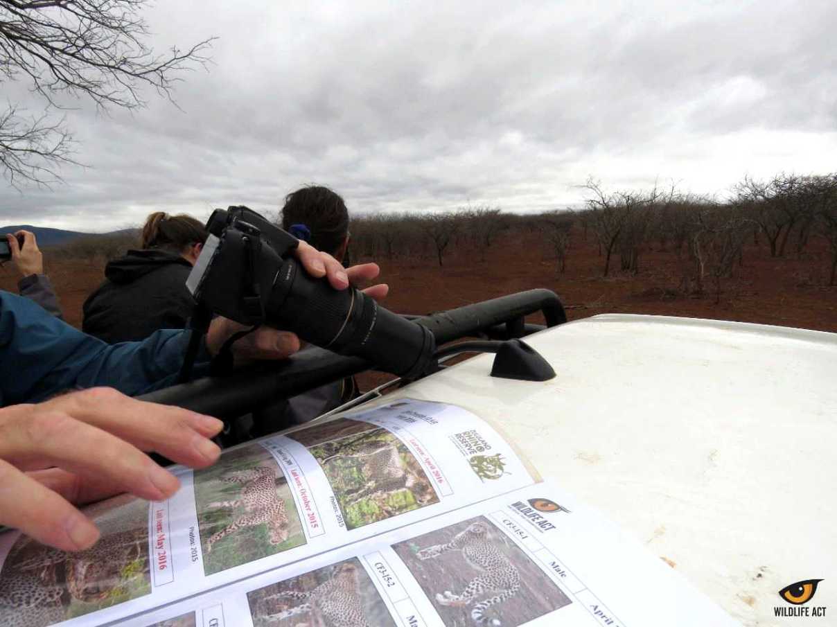 Wildlife Tracking and Monitoring in Africa - Wildlife ACT