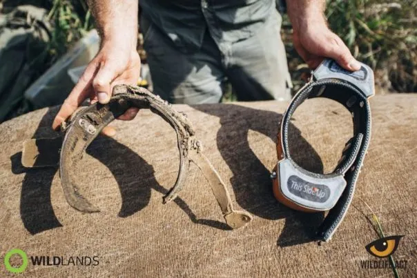 Monitoring and Tracking Technology - Wildlife ACT