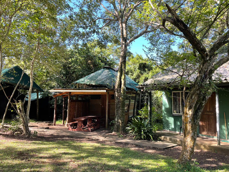 Hluhluwe-iMfolozi Park (HiP) Conservation with Wildlife ACT