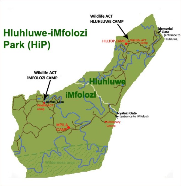 Hluhluwe-iMfolozi Park (HiP) Conservation with Wildlife ACT