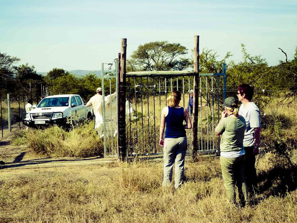 What is a Boma used for and how does it help conservation?