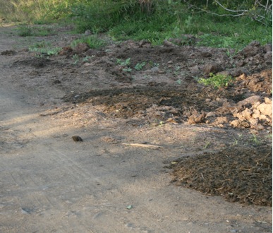 What is a Rhino Midden?