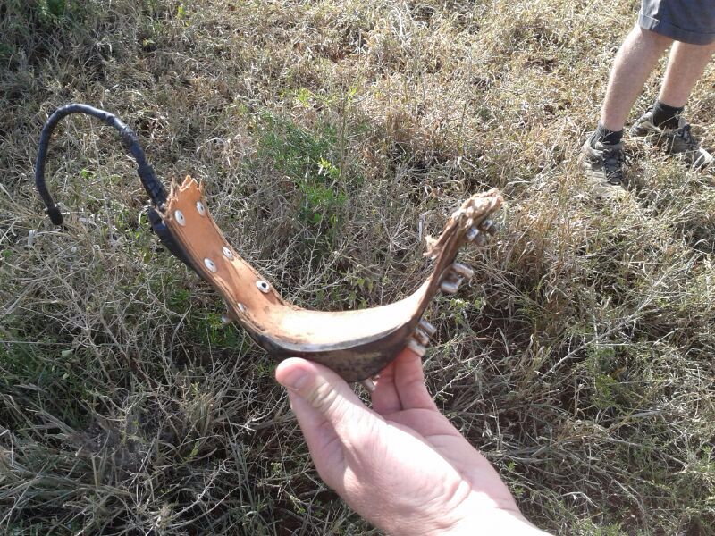 The lost tracking collar of the Sokhwezela pack