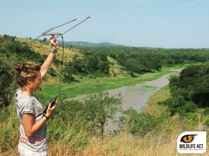 The Art of Telemetry & Wildlife Monitoring