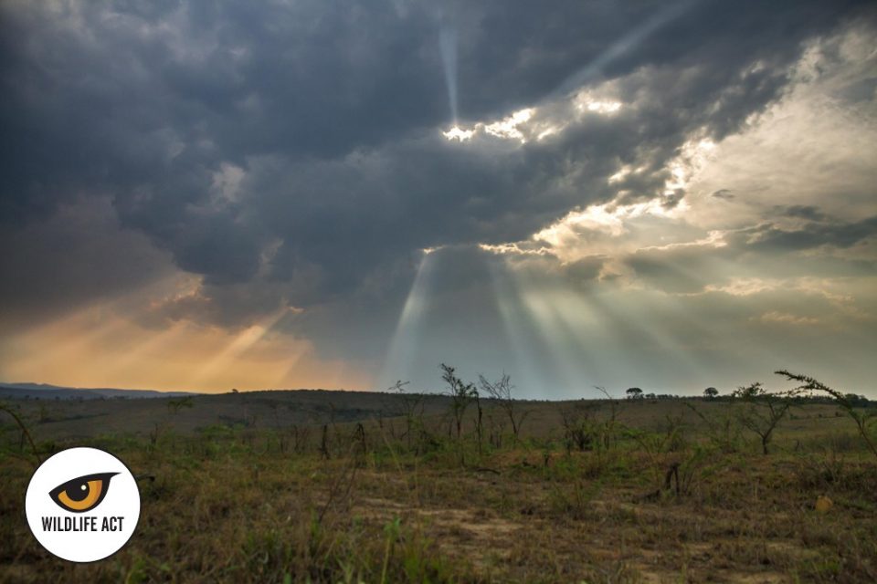 Somkhanda Game Reserve & Community Compassion