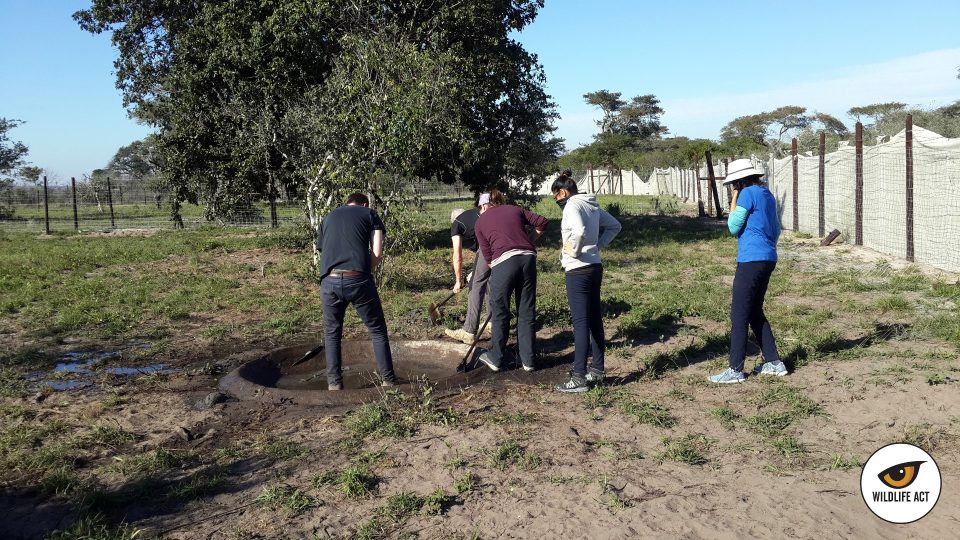 What is a Boma used for and how does it help conservation?