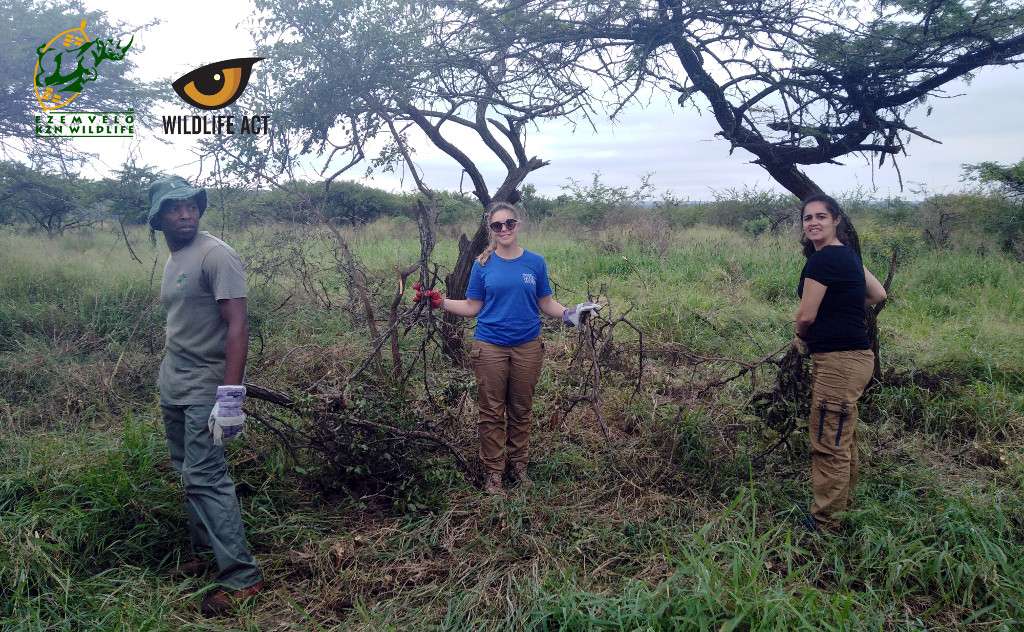 Boma Cleaning and Clearing in uMkhuze Game Reserve