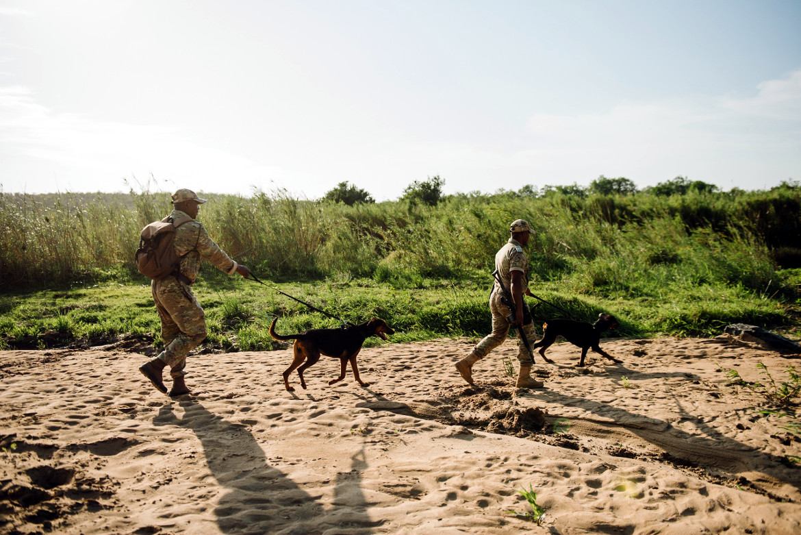 K9 Unit Established in Hluhluwe-iMfolozi Park to Combat Rhino Poaching