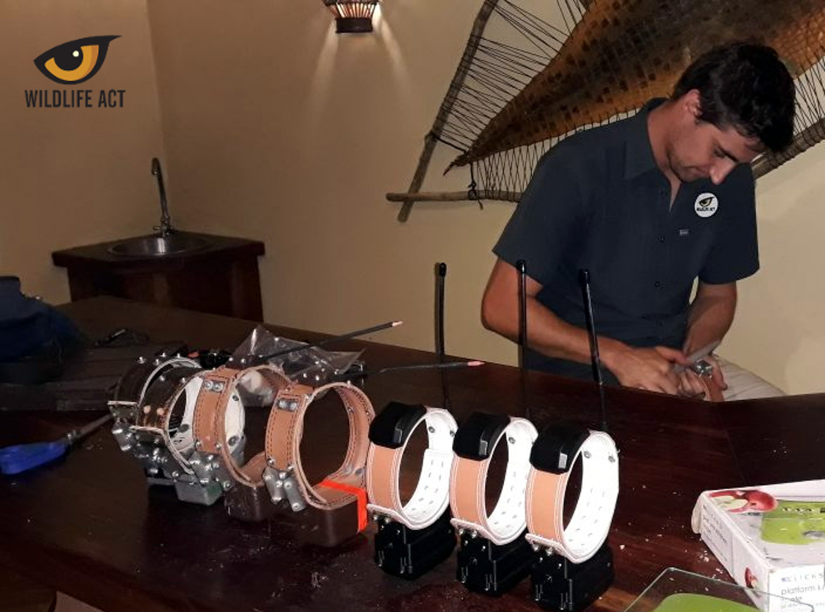 GPS and VHF Wildlife Tracking Collars used for Monitoring