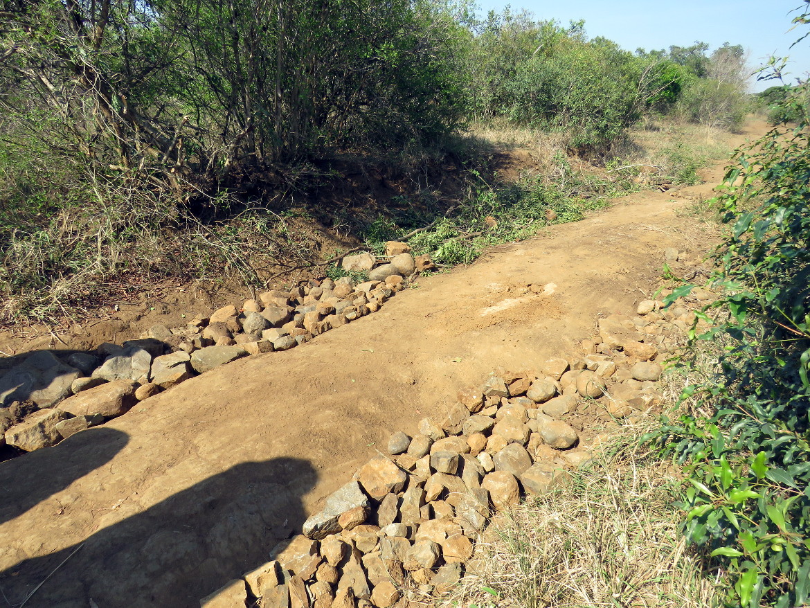 Rock Packing in Hluhluwe-iMfolozi Park