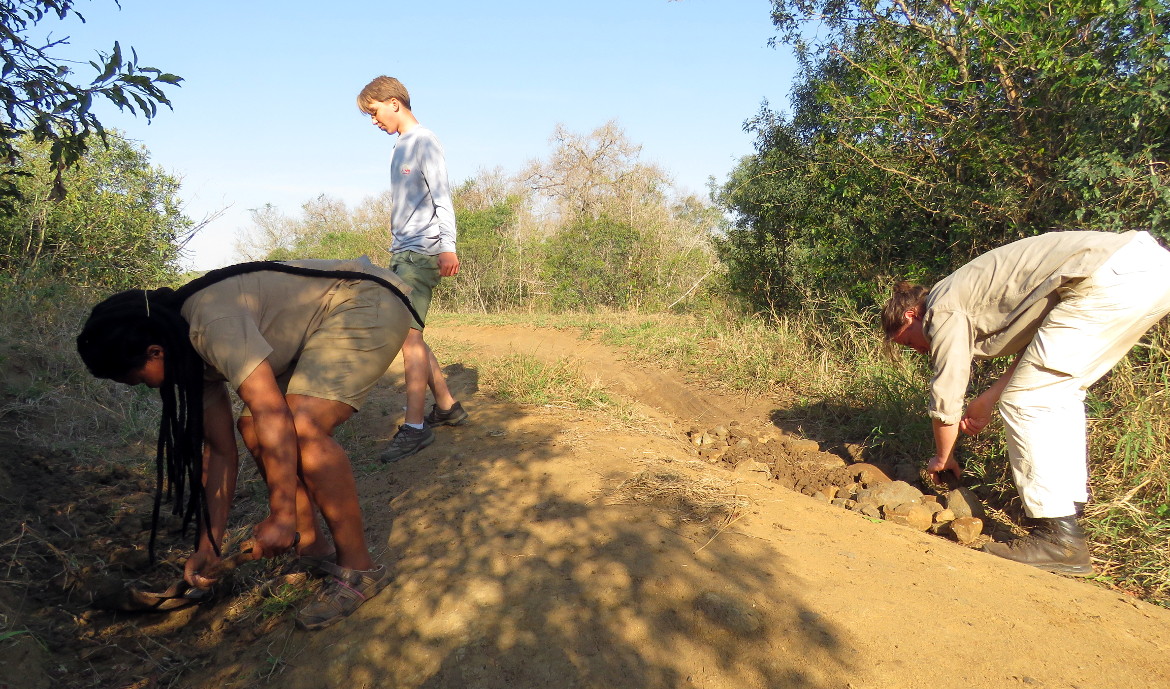 Rock Packing in Hluhluwe-iMfolozi Park
