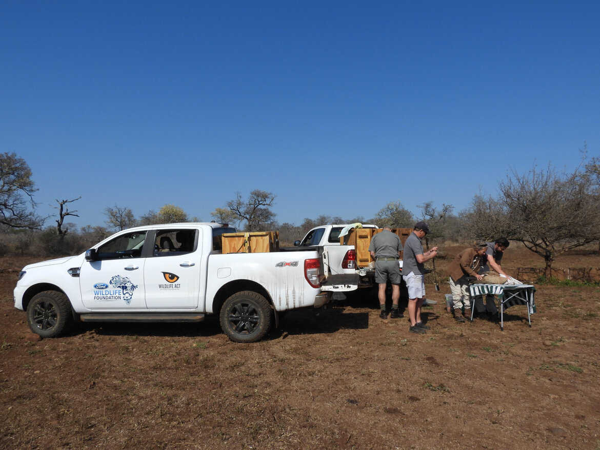 2022 Successes for Wildlife ACT's Vulture Conservation Programme