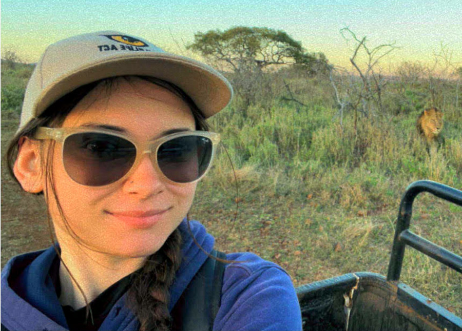 Become a Wildlife Volunteer in Africa | Wildlifeact.com