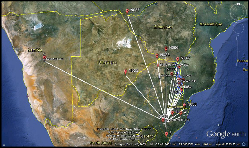 Vulture Flight Patterns, Wing Tagging & Ringing
