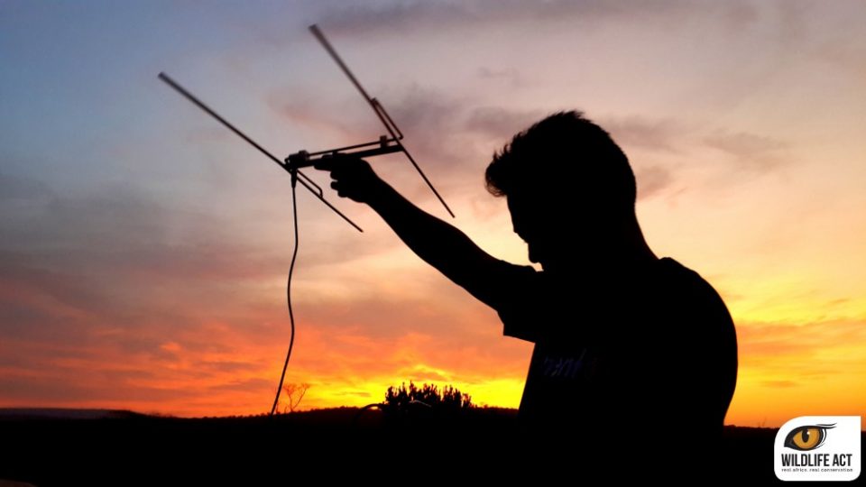 The Art of Telemetry & Wildlife Monitoring