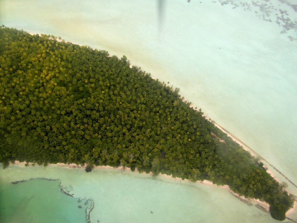 Turtle Nest Relocation in Seychelles