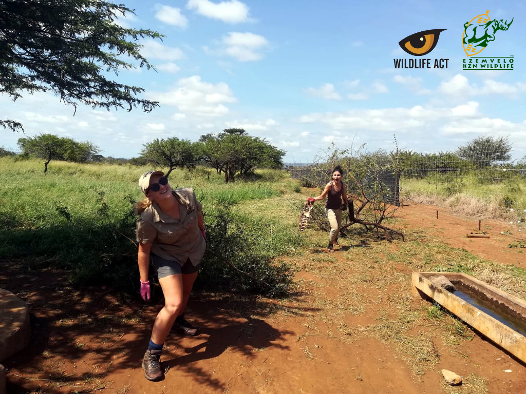 Boma Cleaning and Clearing in uMkhuze Game Reserve