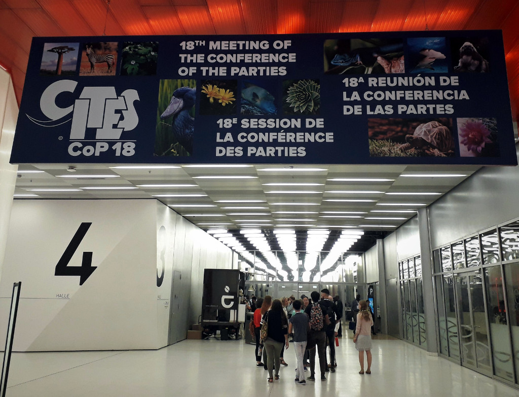 The Vital Role of Conservation Corridors in Protecting Wildlife and ...