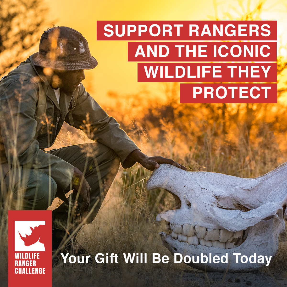Wildlife Ranger Challenge 2021 - Supporting those on the Frontlines