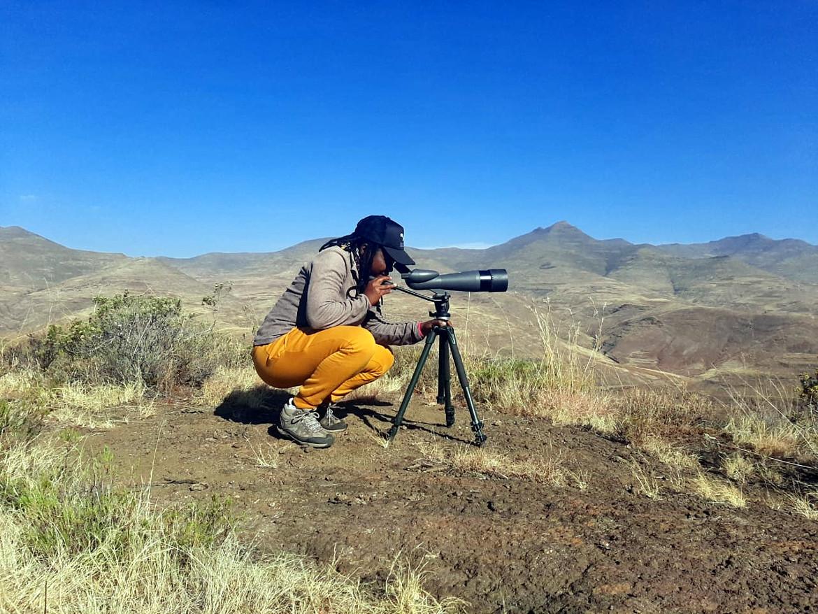 Wildlife ACT’s Bearded Vulture Monitor in Lesotho - Mapaseka Makoae