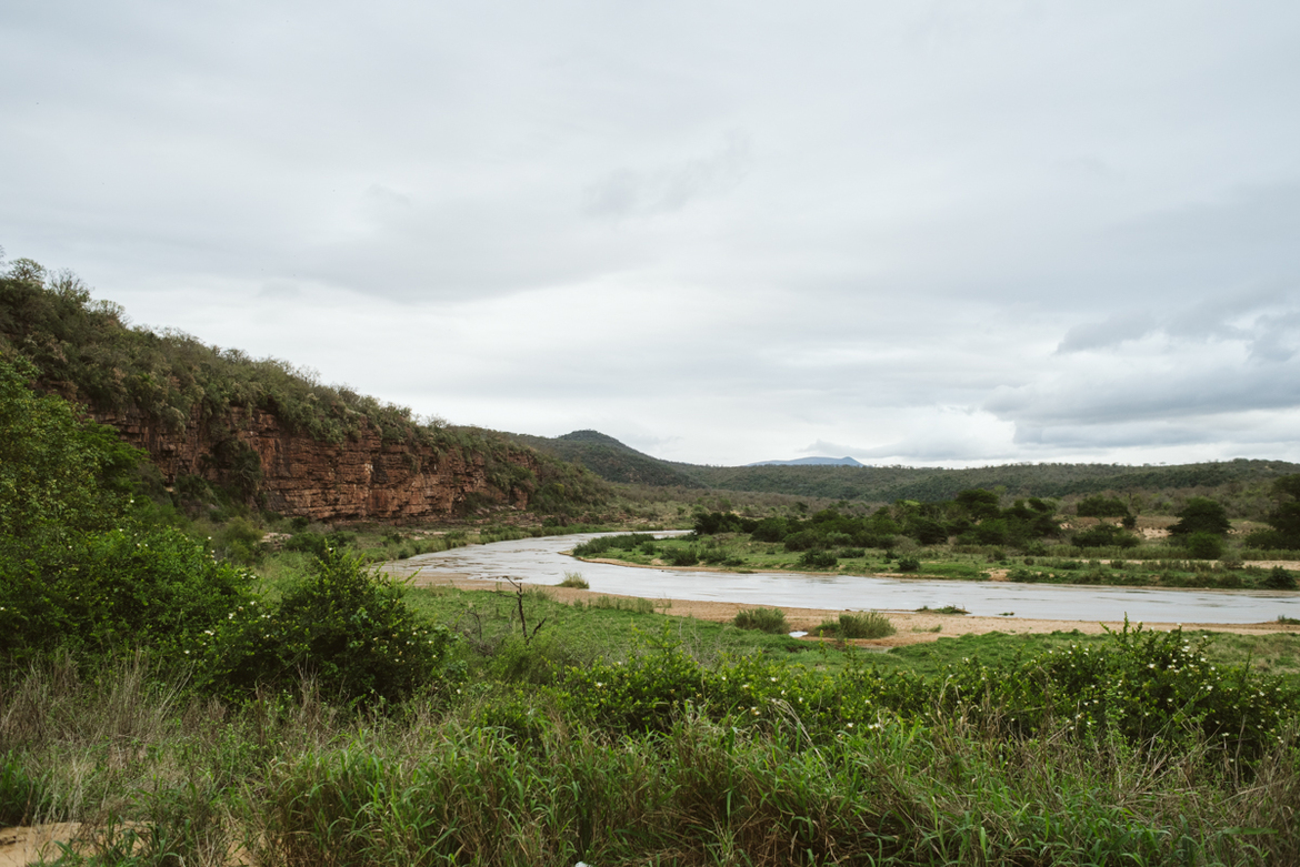 The Vital Role of Conservation Corridors in Protecting Wildlife and ...