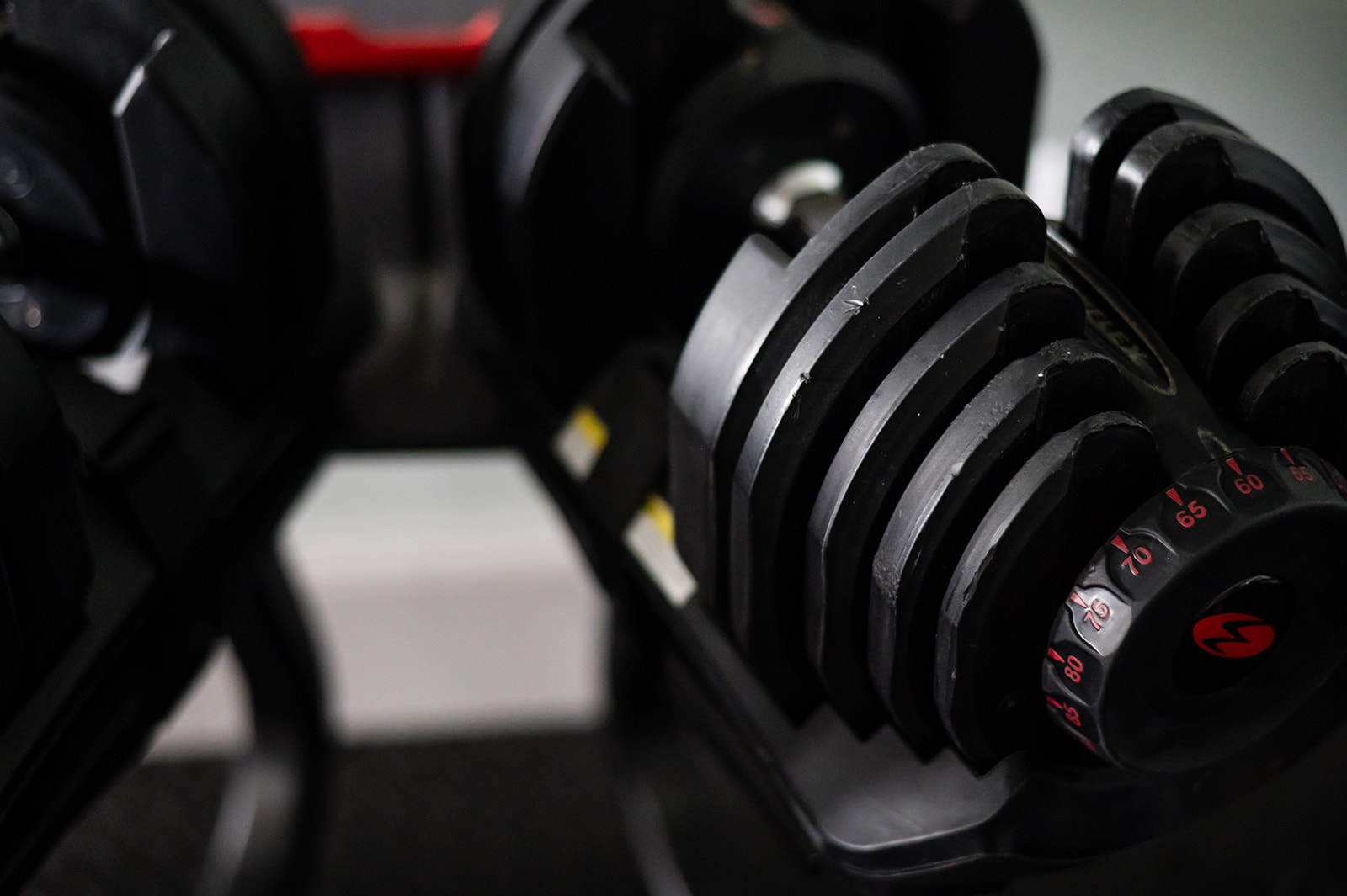 Optimal Human Health | Dr. Doug Lucas