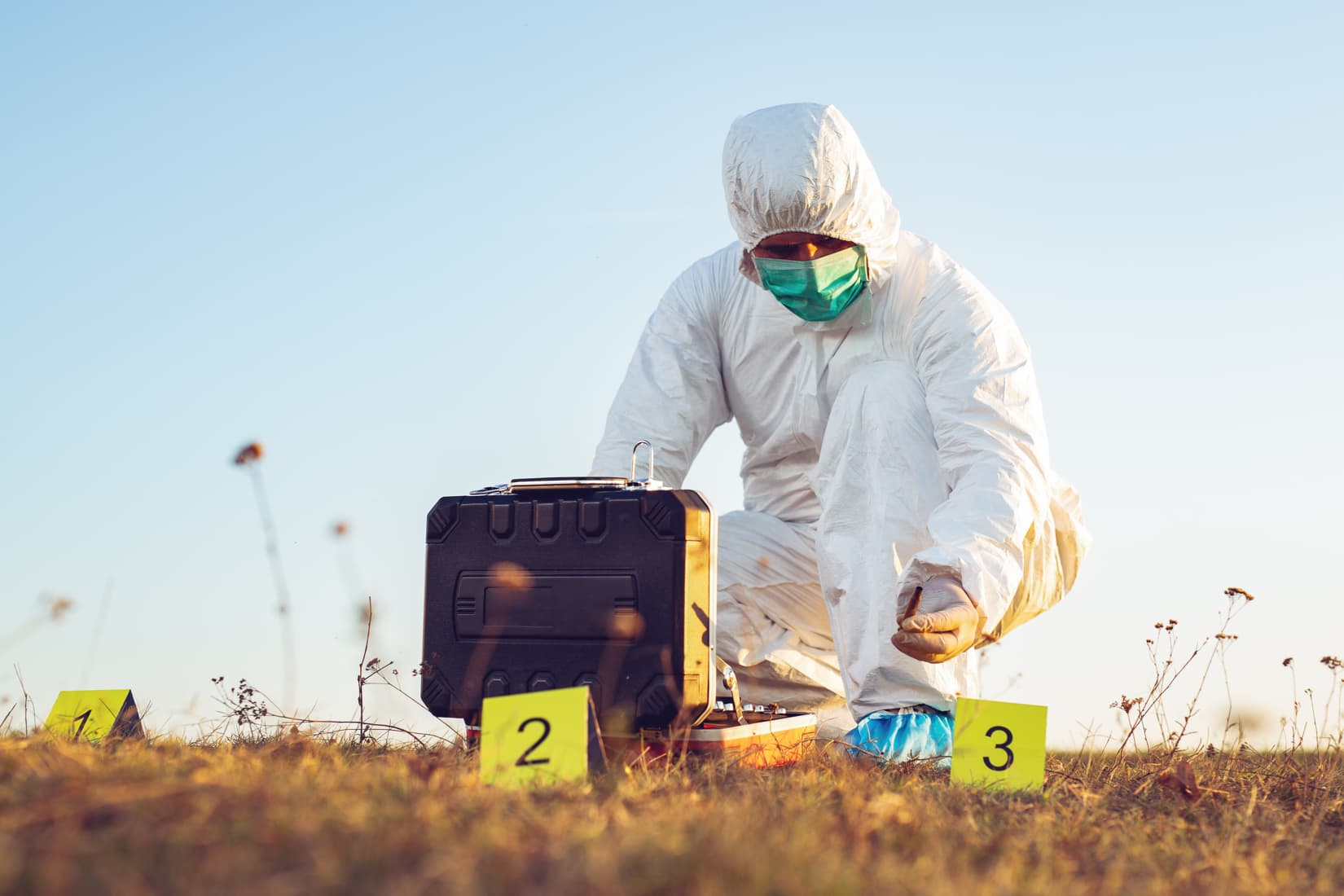 Forensic Services | Sunrise Business Solutions