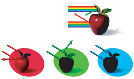 Colour Vision Testing and Analysis | Innovative Eye Care