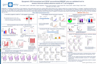 CD3 humanized mouse models as validated tools to assess immune-related ...