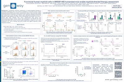 BRGSF-HIS humanized mice enable myeloid-directed therapy assessment ...
