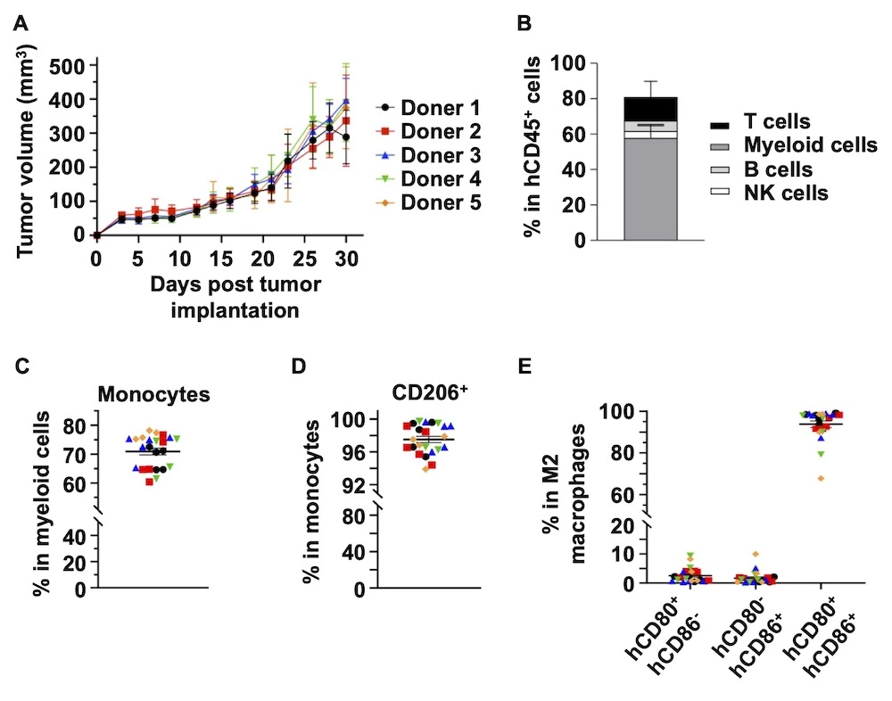 BRGSF-HIS Mouse | Reconstituted Human Immune Systems | genOway