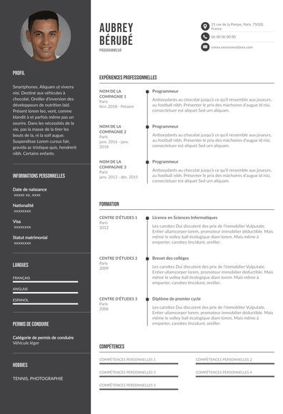 Meilleur exemple de CV de programmeur jeux vidéo : votre guide de ...