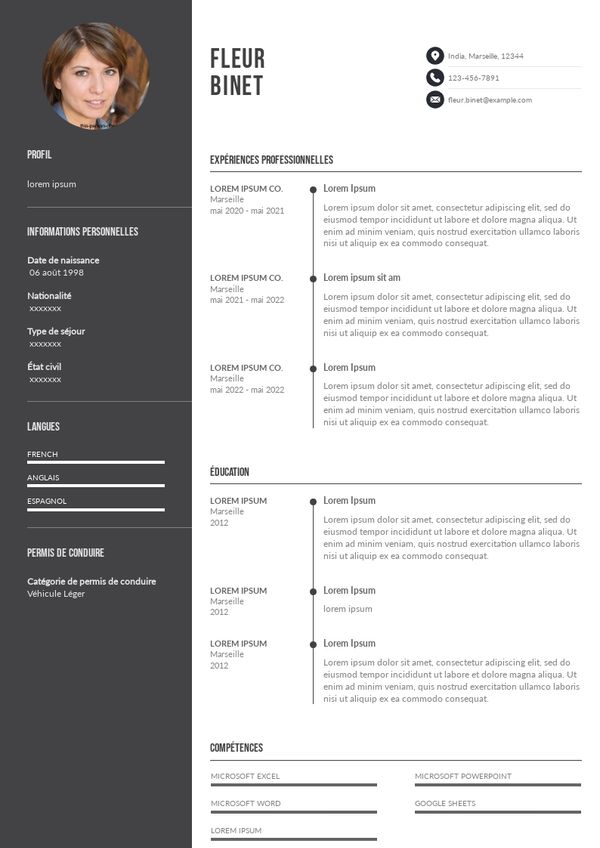 CV Chargé de mission diversité culturelle : Modèles et Conseils