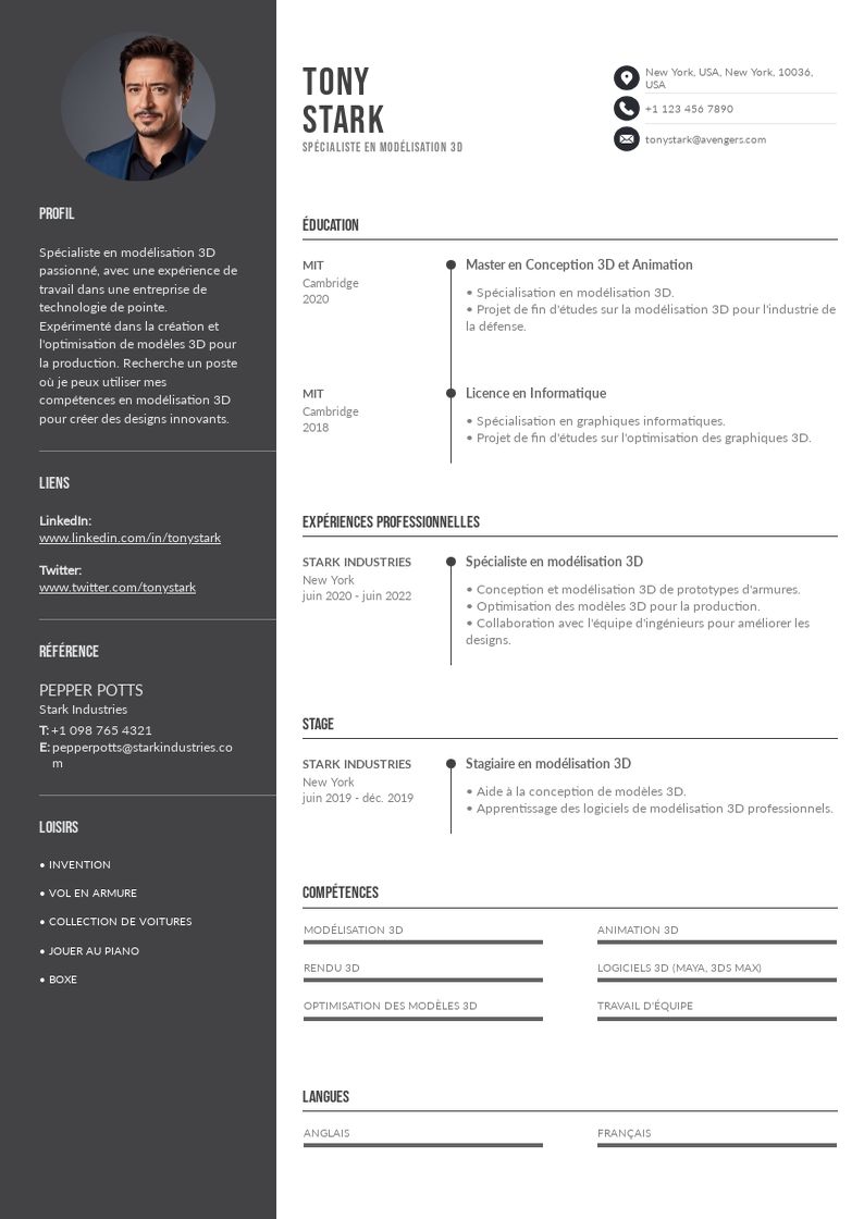 Exemples de CV Expert en modélisation 3D sans expérience à adopter