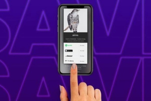 How to Release a Single in 2024: 11 Steps for Artists