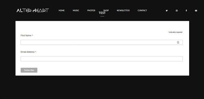 Email Marketing for Musicians: How to Build a Mailing List