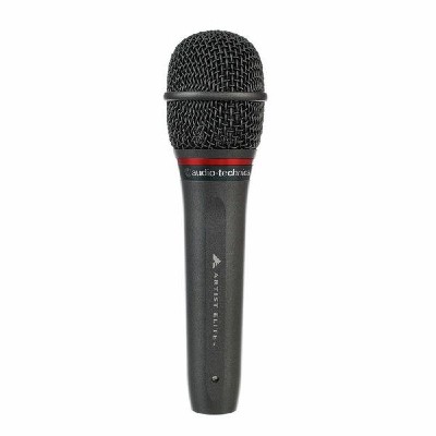 The 10 Best Microphones to Power up Your Live Performances