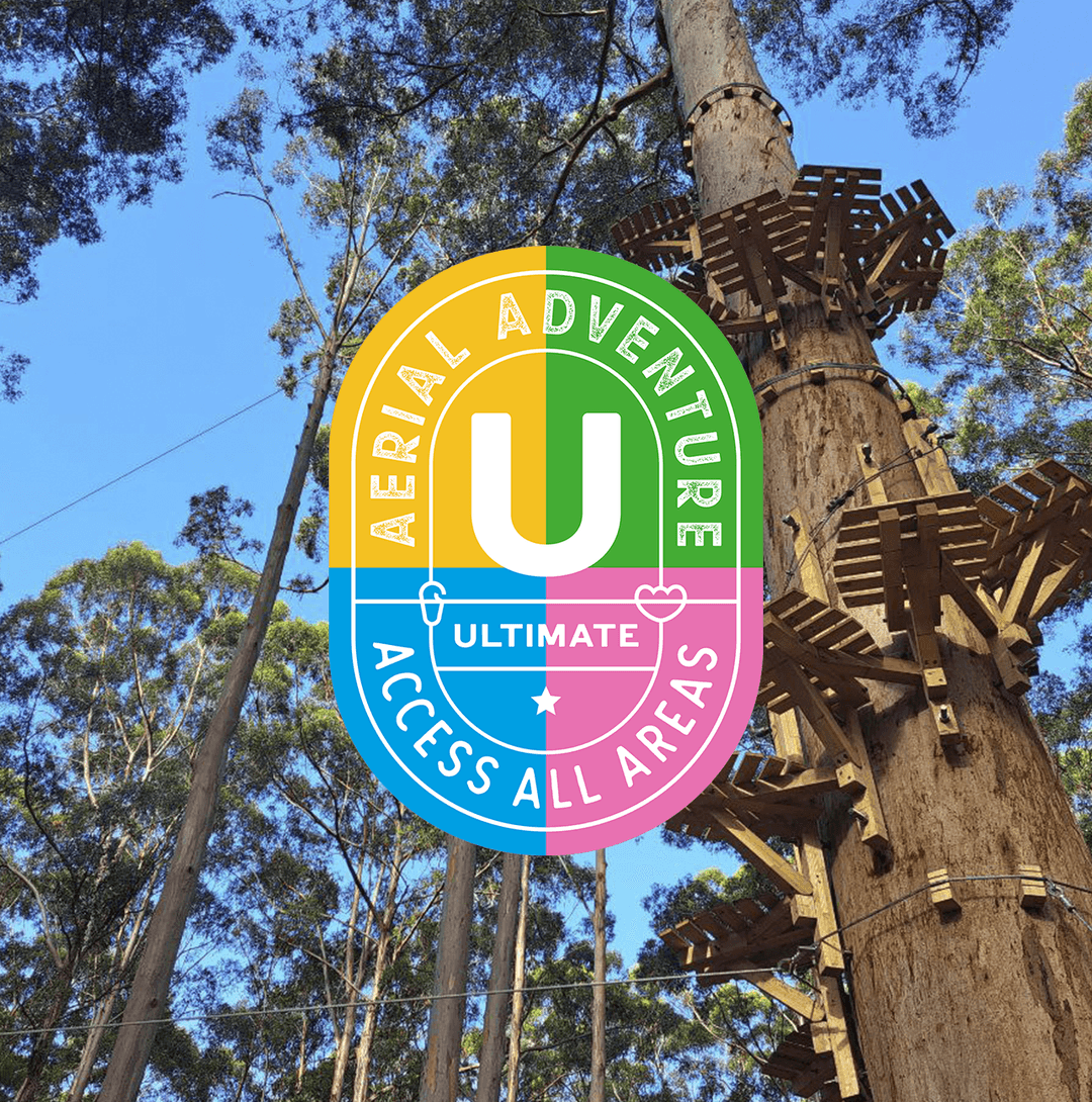 Pemberton Aerial Adventure