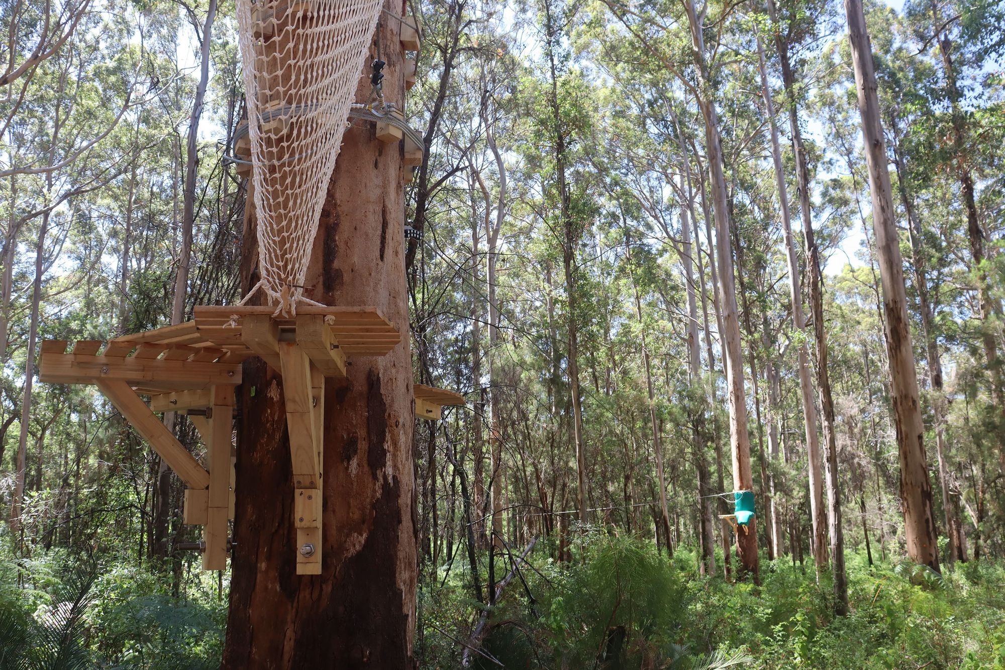Pemberton Aerial Adventure