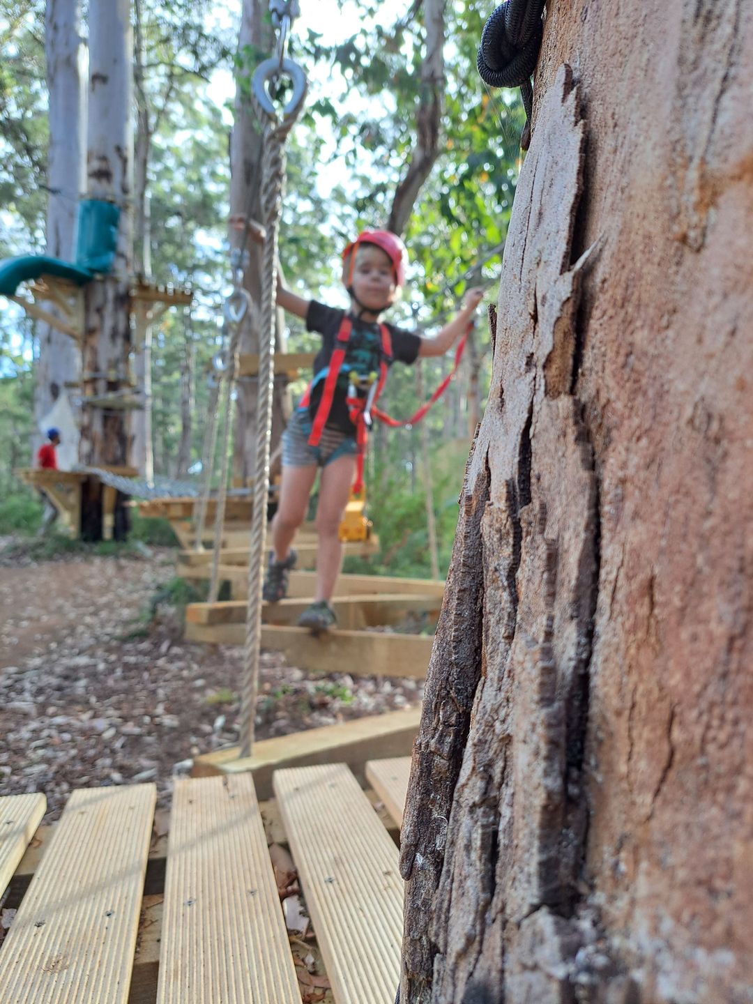 Pemberton Aerial Adventure