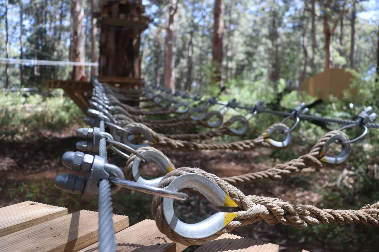 Pemberton Aerial Adventure