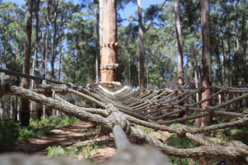 Pemberton Aerial Adventure