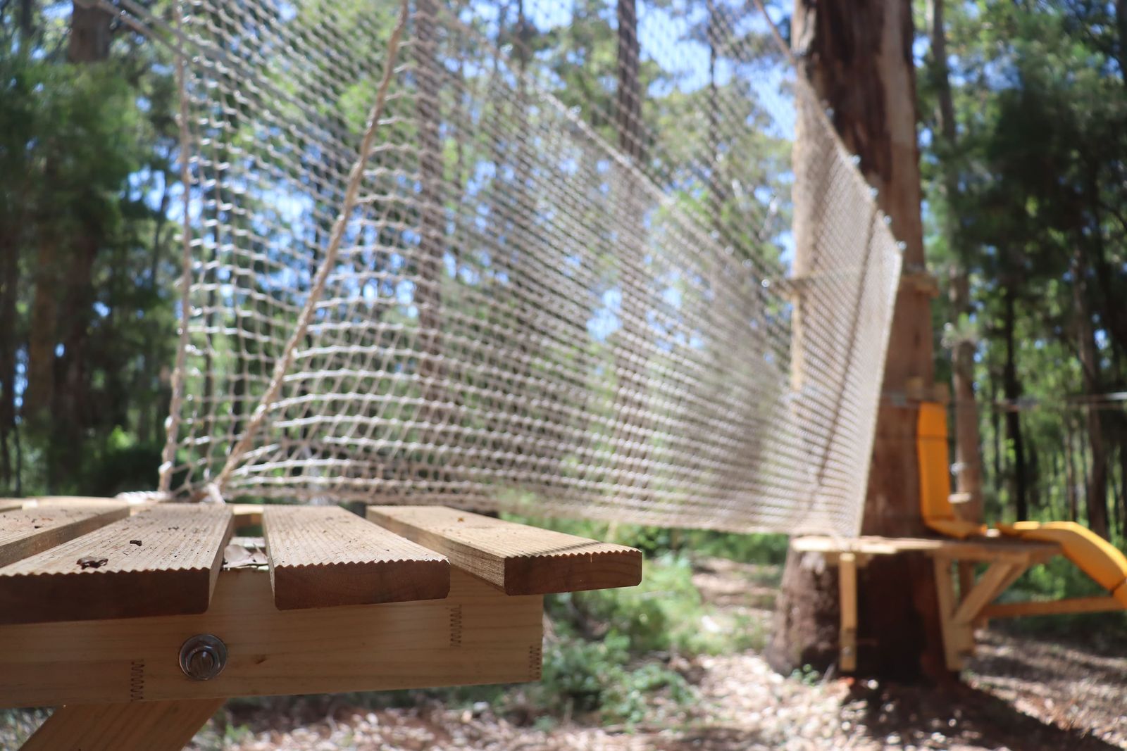 Pemberton Aerial Adventure