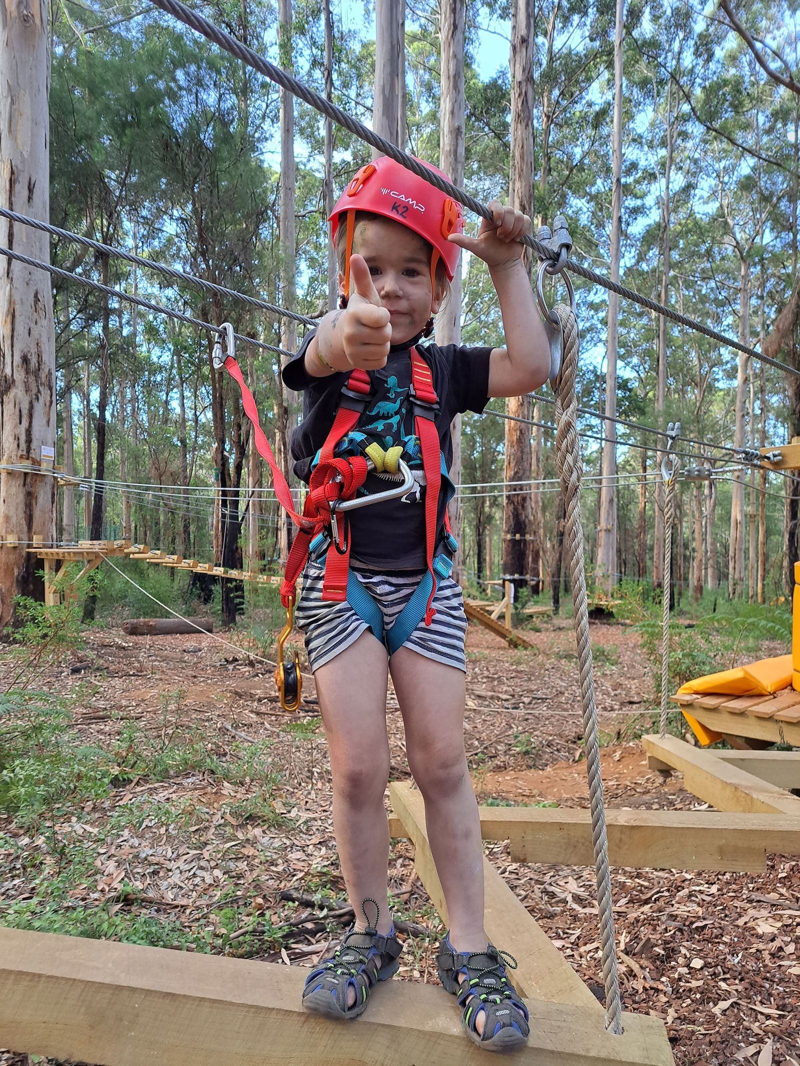 Pemberton Aerial Adventure